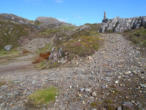 Conservation of the Critically Endangered moss Ditrichum cornubicum ...