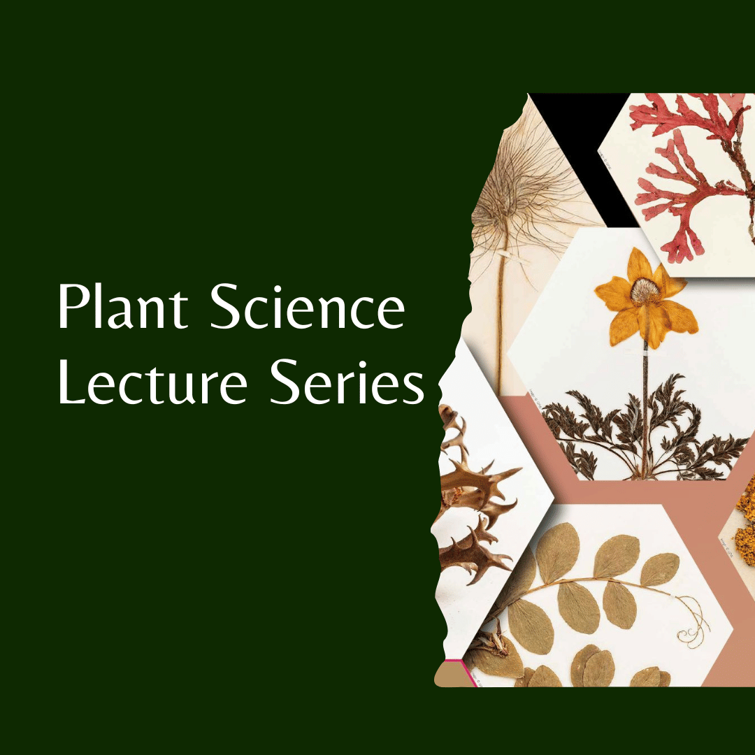 The National Botanic Gardens of Ireland