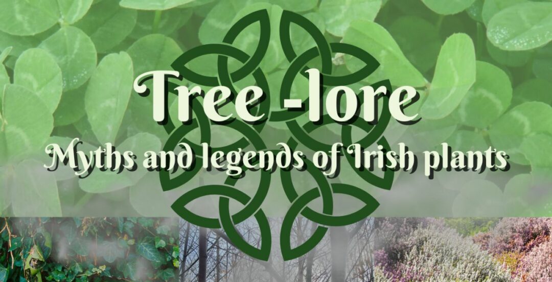 Tree Week Tour: Tree Lore – Myths and Legends of Irish Flora | National ...