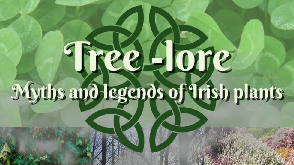 Tree Week Tour: Tree Lore – Myths and Legends of Irish Flora | National ...