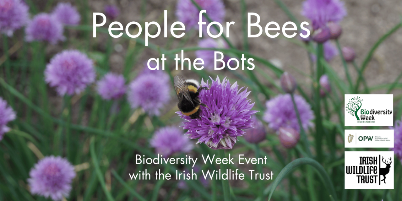 Irish Wildlife Trust: People for Bees at the Bots | National Botanic Gardens of Ireland